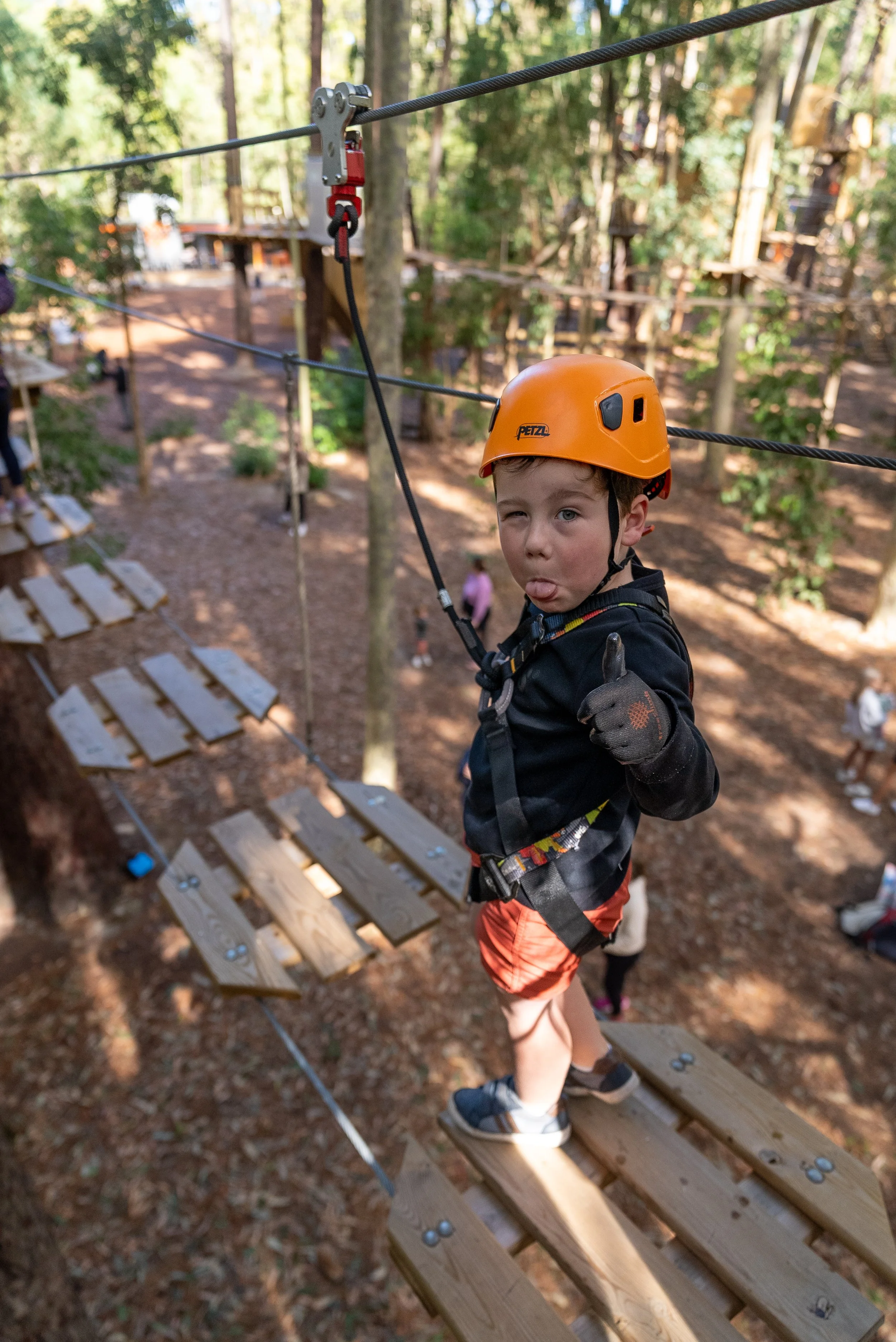 Book Now - Kuitpo Forest | Book Your Adventure — TreeClimb