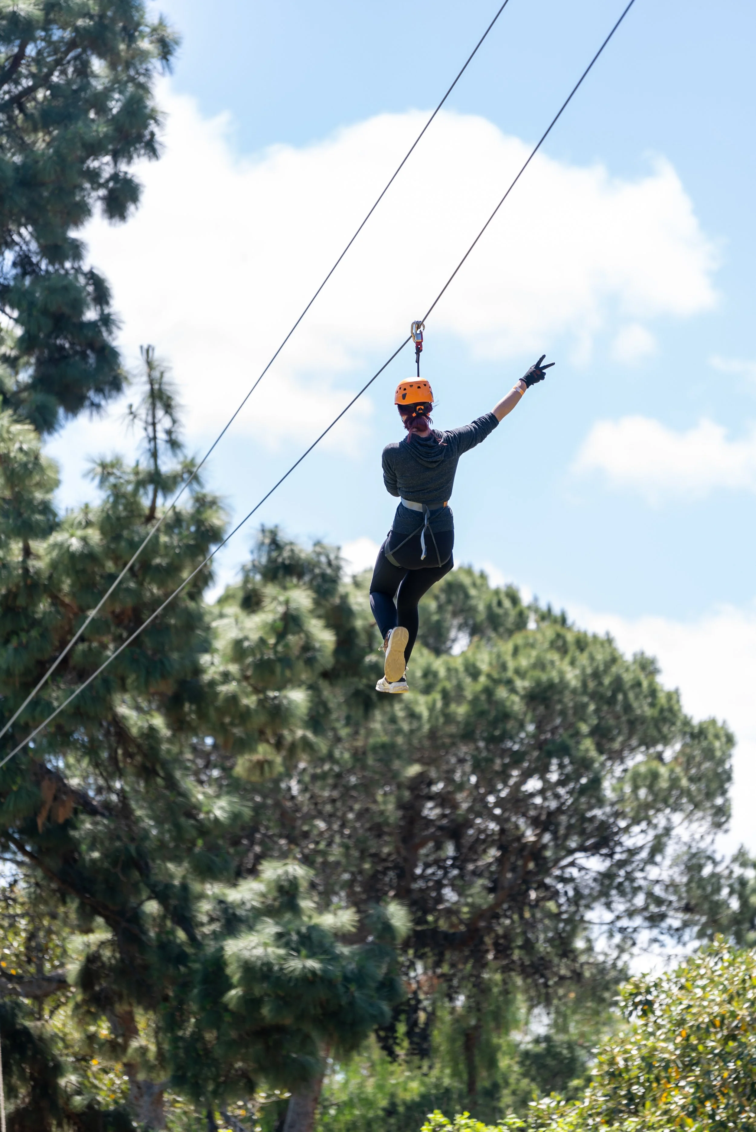 Experiences | Explore Thrilling Adventures — TreeClimb