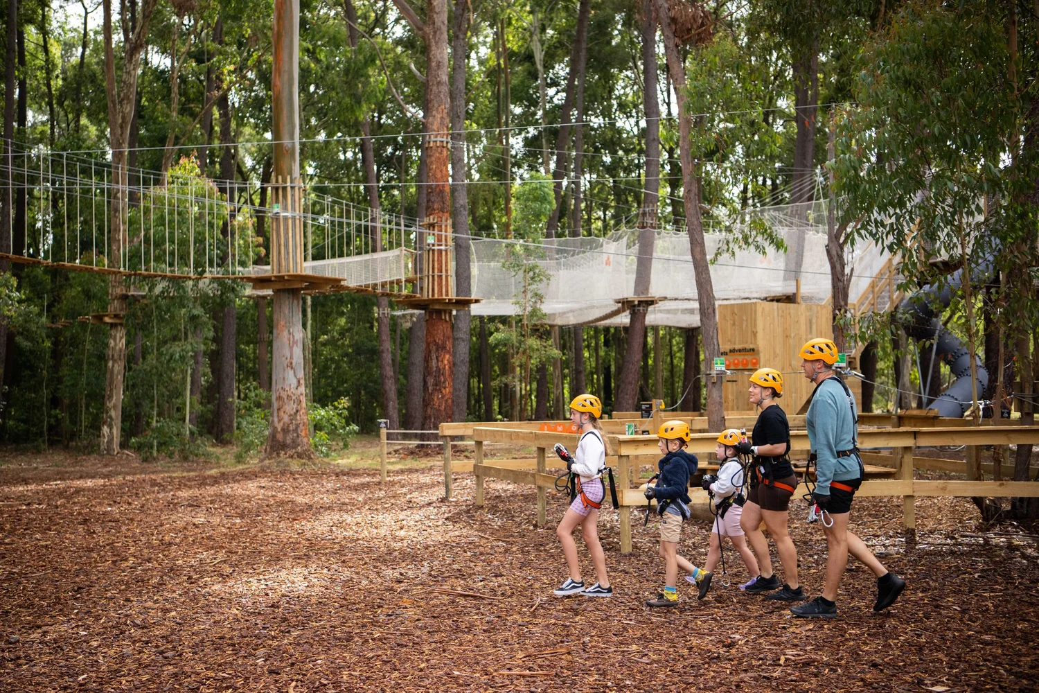 Book Now | Adventure Awaits Today — TreeClimb