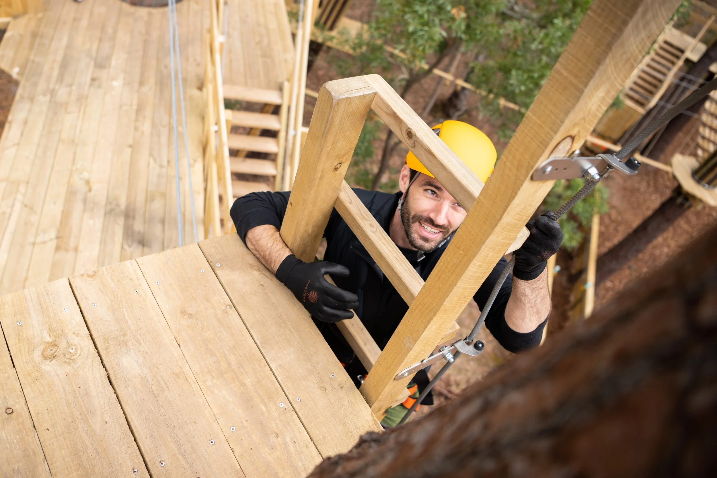 Book Now | Adventure Awaits Today — TreeClimb