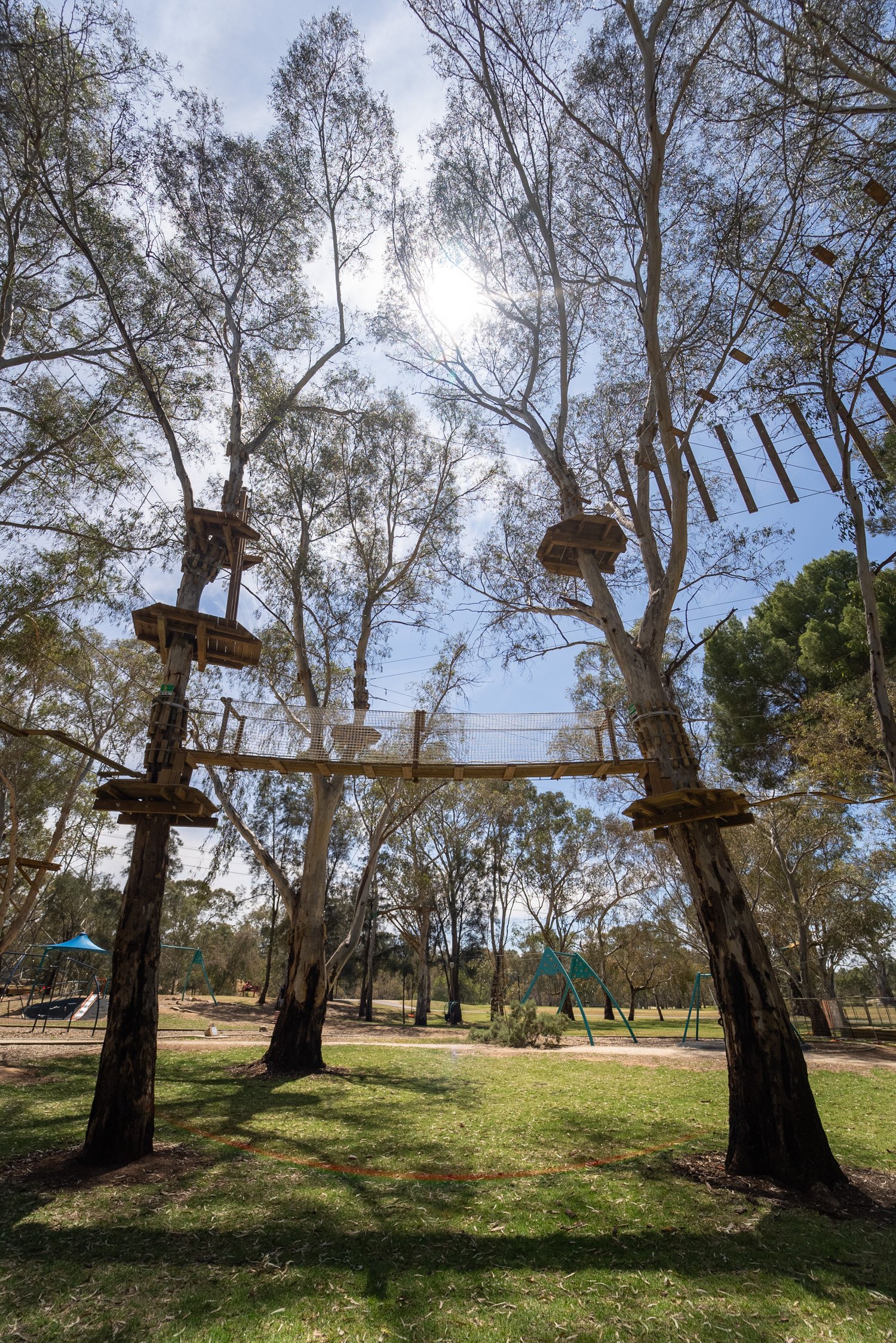 Salisbury — TreeClimb