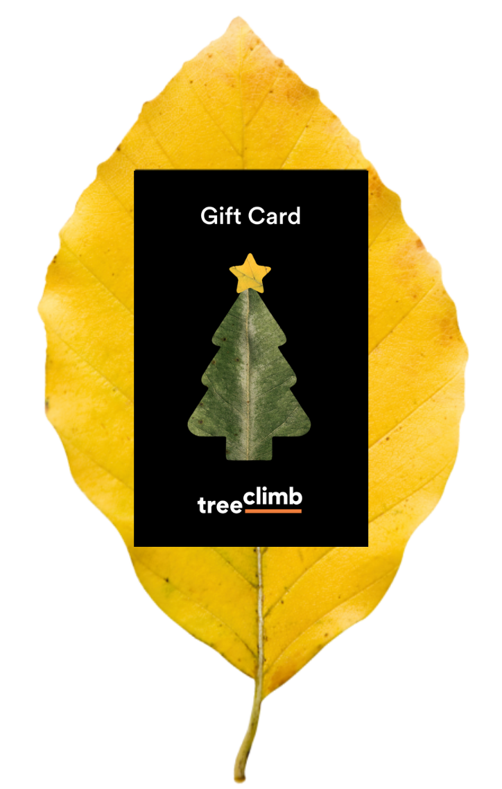 Gift Cards — TreeClimb