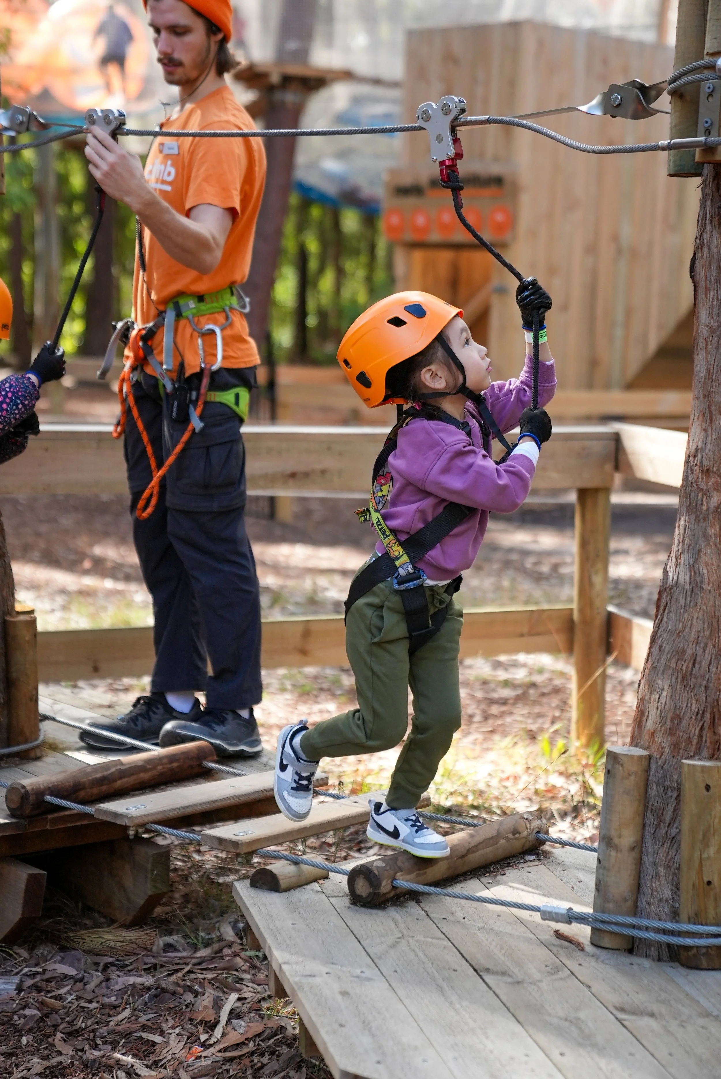 Book Now | Adventure Awaits Today — TreeClimb