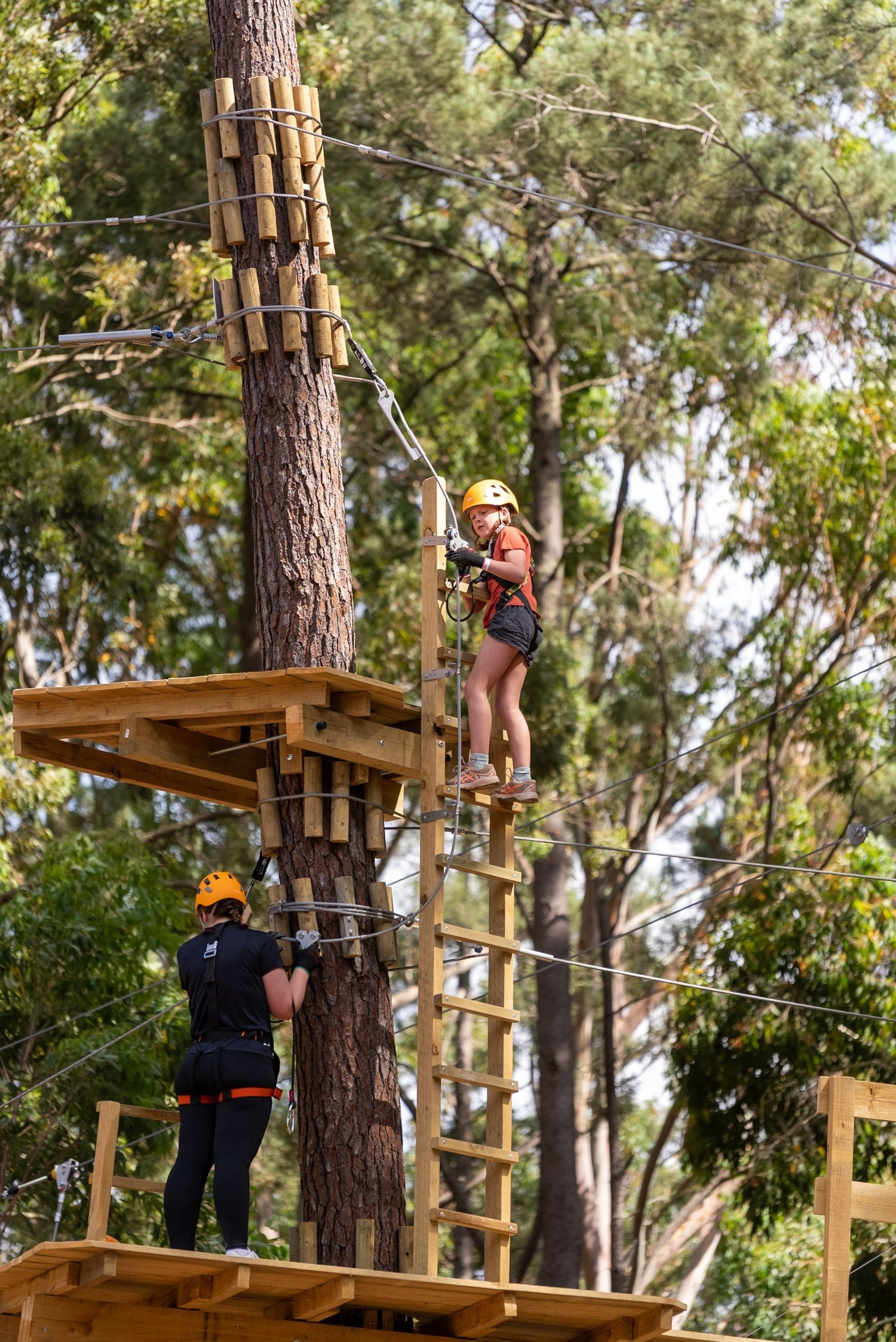Experiences — TreeClimb