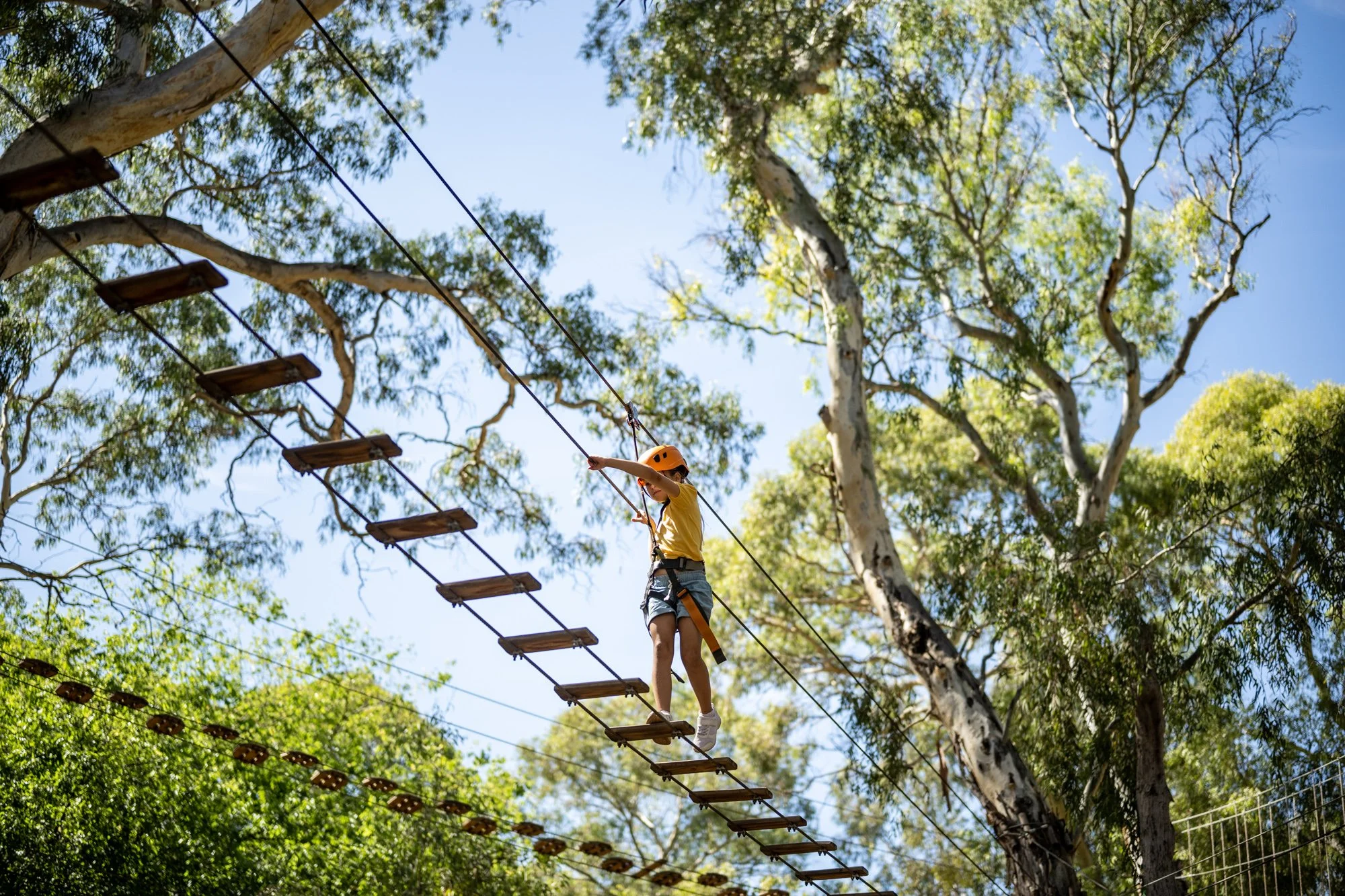 Experiences — TreeClimb