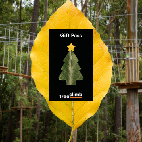 Gift Cards — TreeClimb