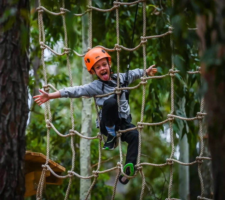 TreeClimb - Engineered for fun, powered by nature.
