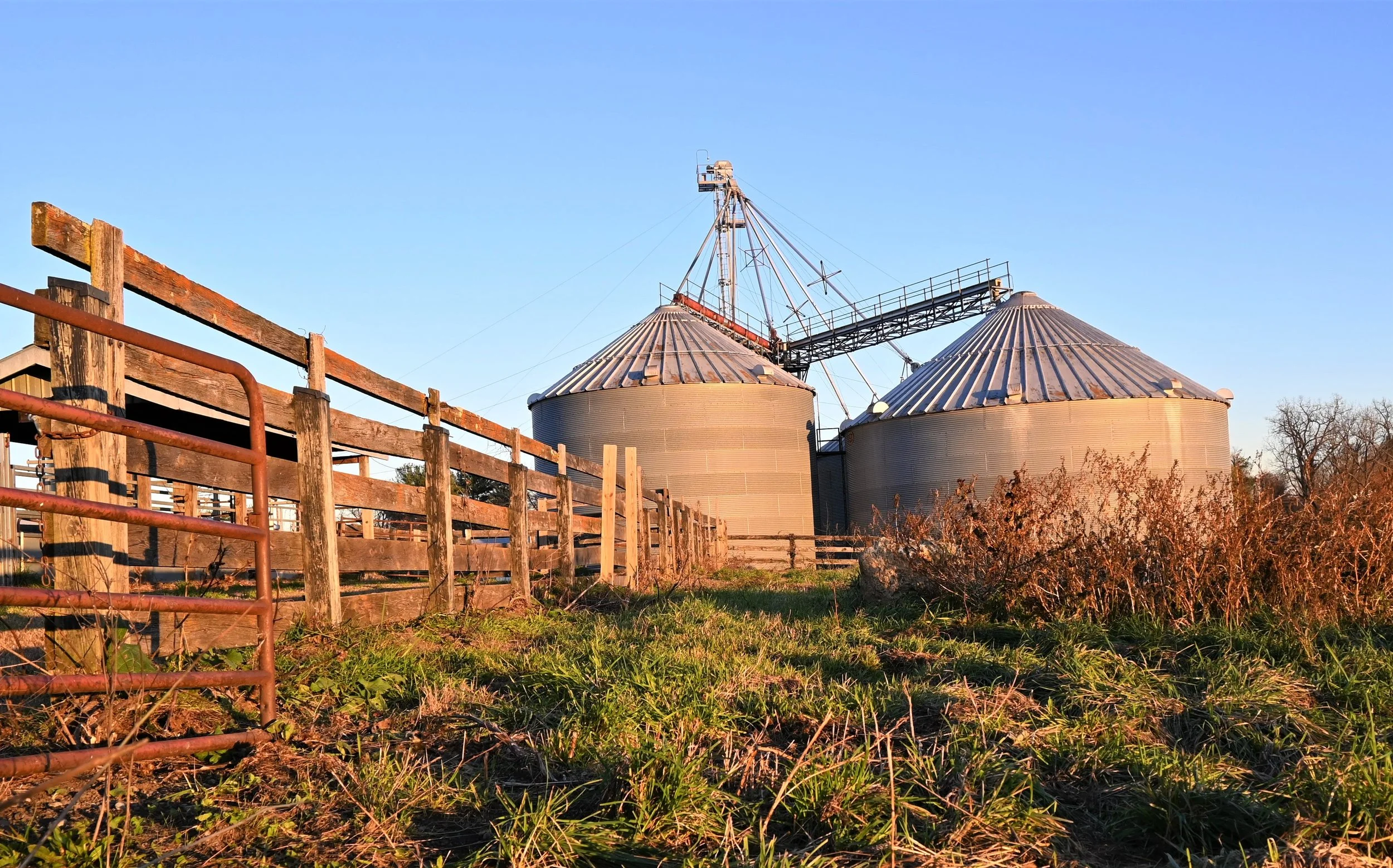 Photography — CJ CLOUSE