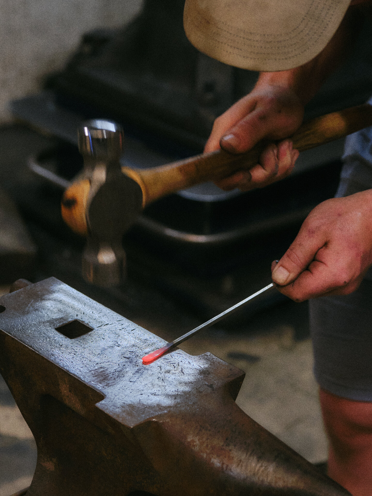 Shop — Field Blends