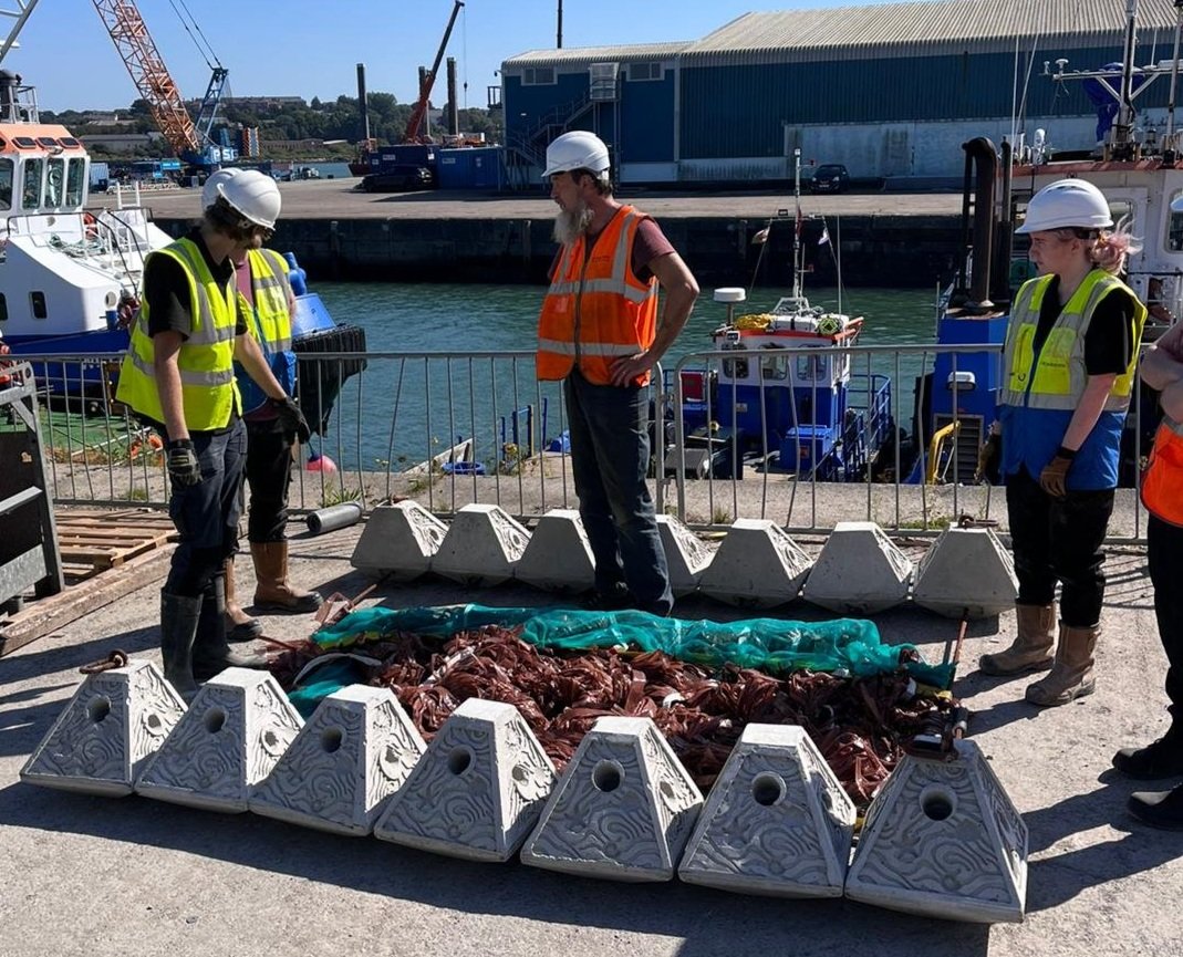 About Us — Living Windfarms Project