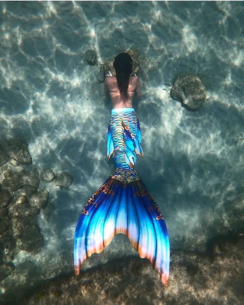 Partnerships — Captain Kate