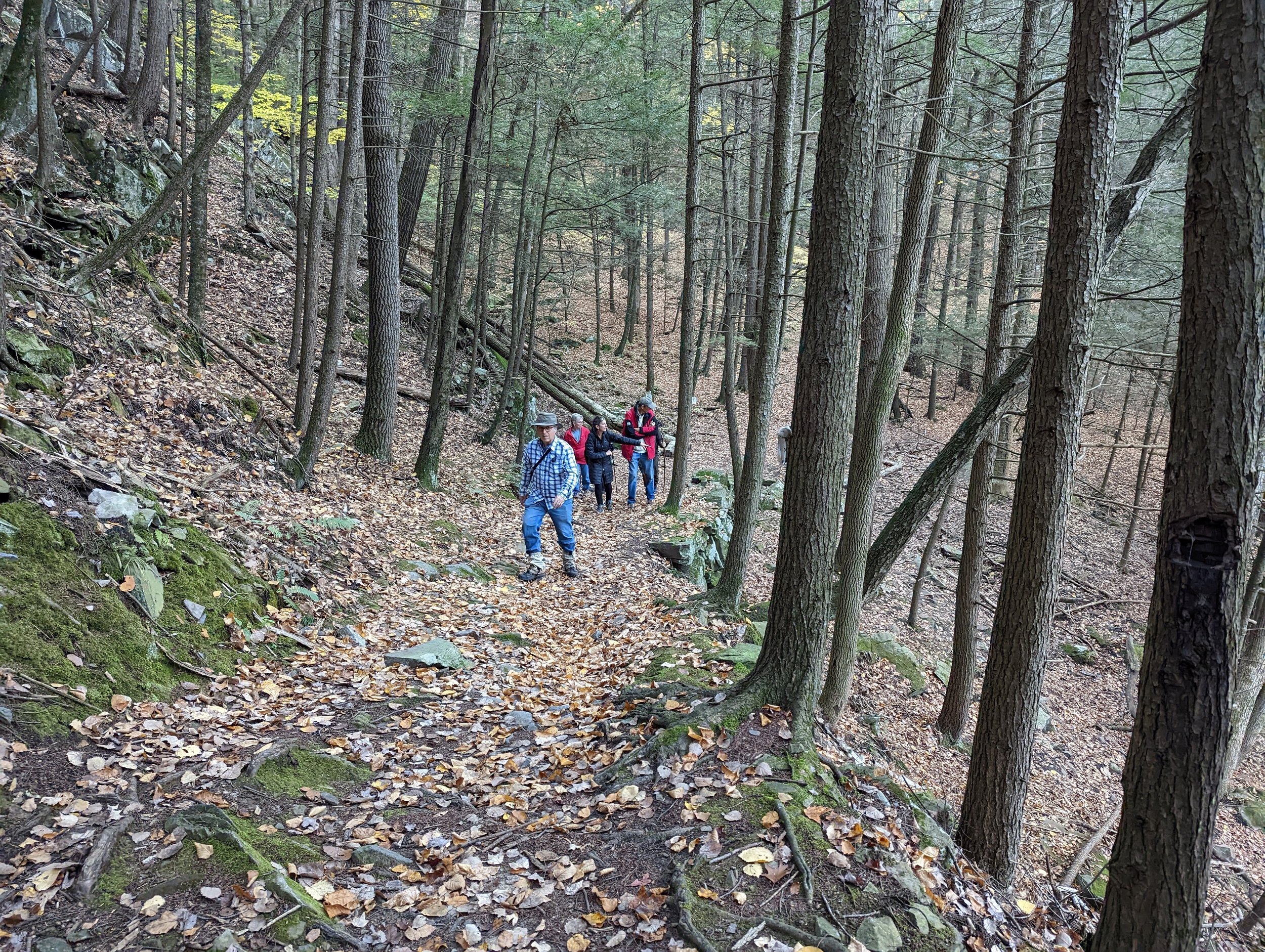 Bald Hill — Windmill Hill Pinnacle Association