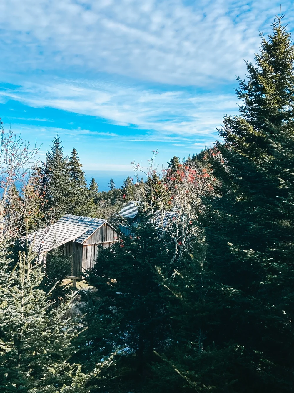 Stay In Touch — Anson Arbor Farm | Vacation Cottage Rentals Sevierville, TN