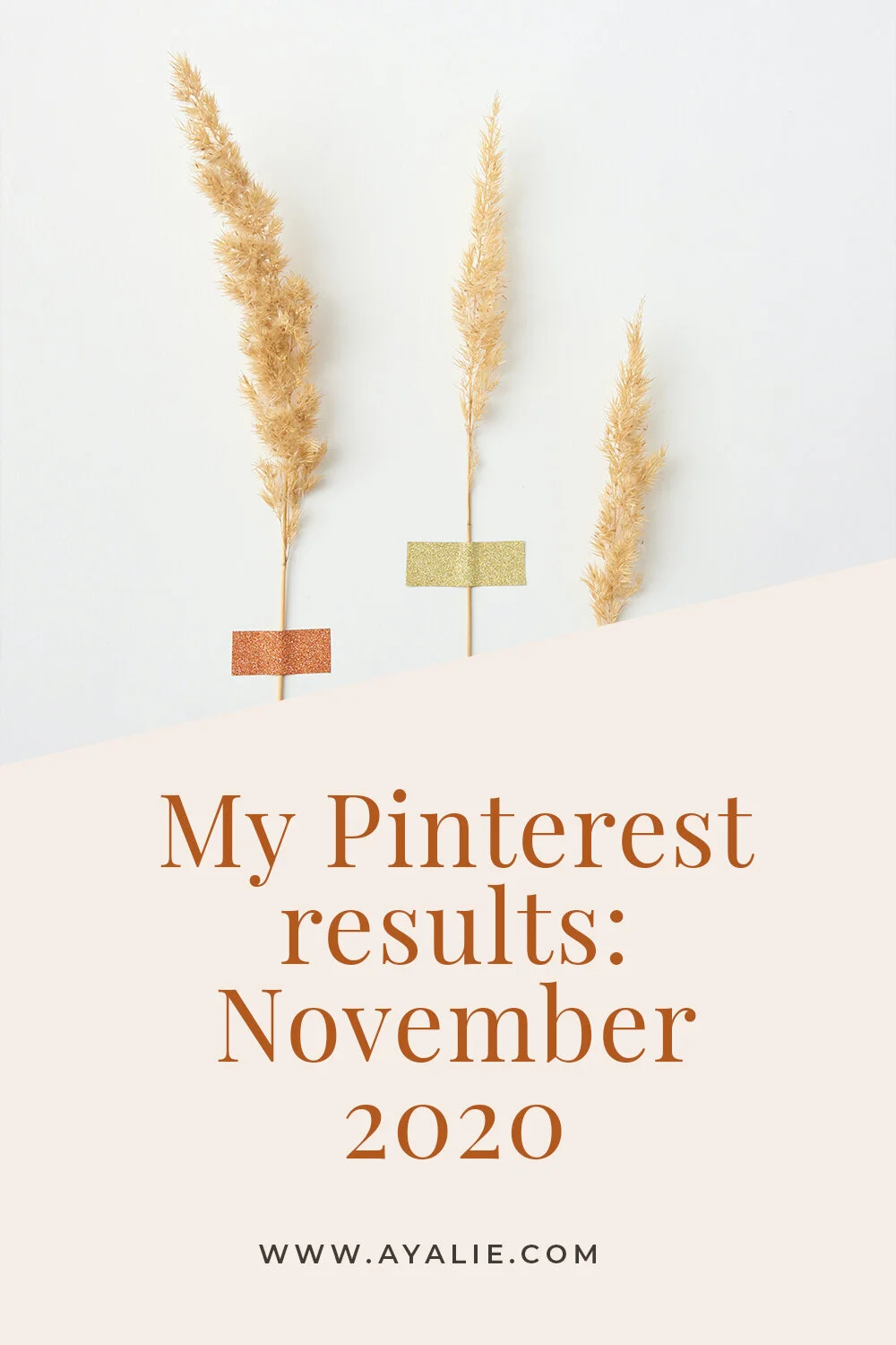 Behind the scenes look at my Pinterest results (November 2020) — Ayalie