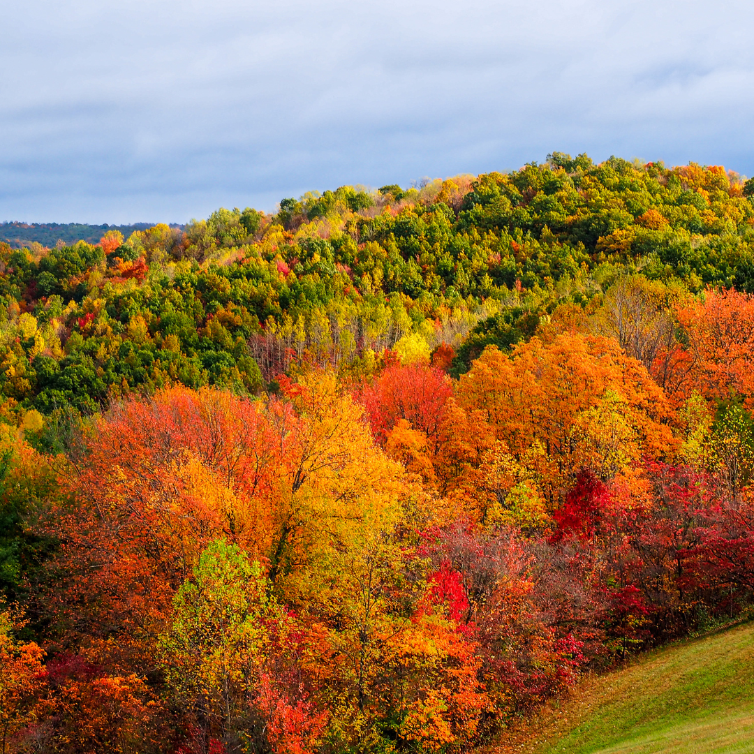Our Favorite Fall Foliage Destinations — Pack Up + Go