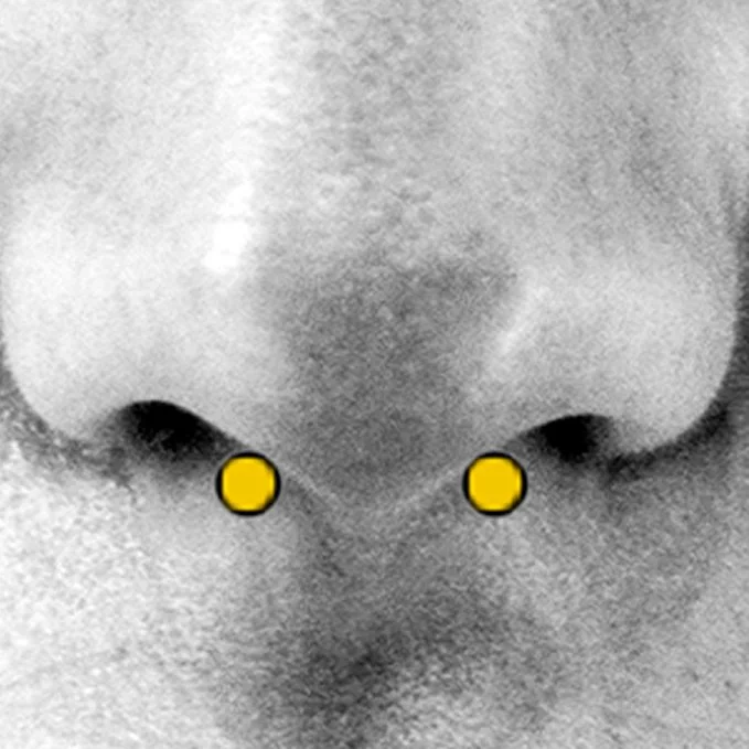 Septum Piercings NYC: 101 Guide — LIVE BY THE SWORD TATTOO