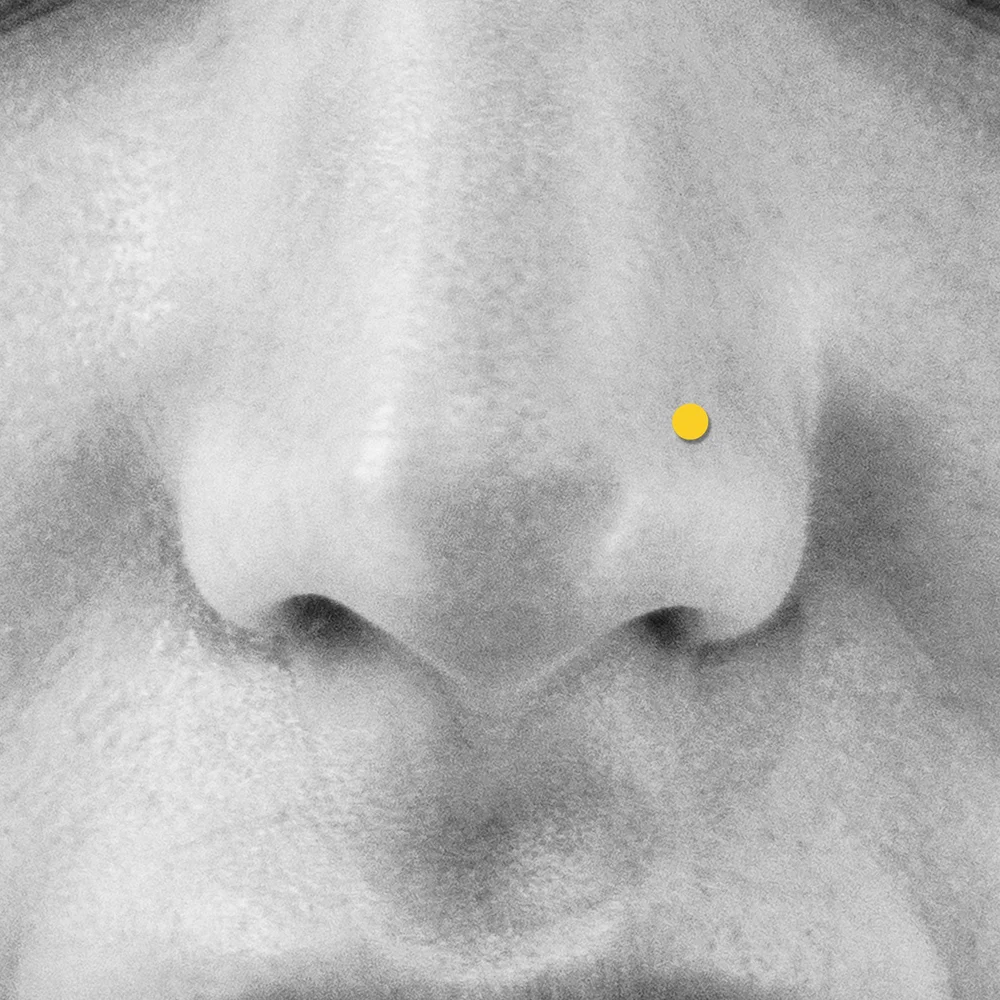 Nose Piercings NYC: 101 Guide — LIVE BY THE SWORD TATTOO