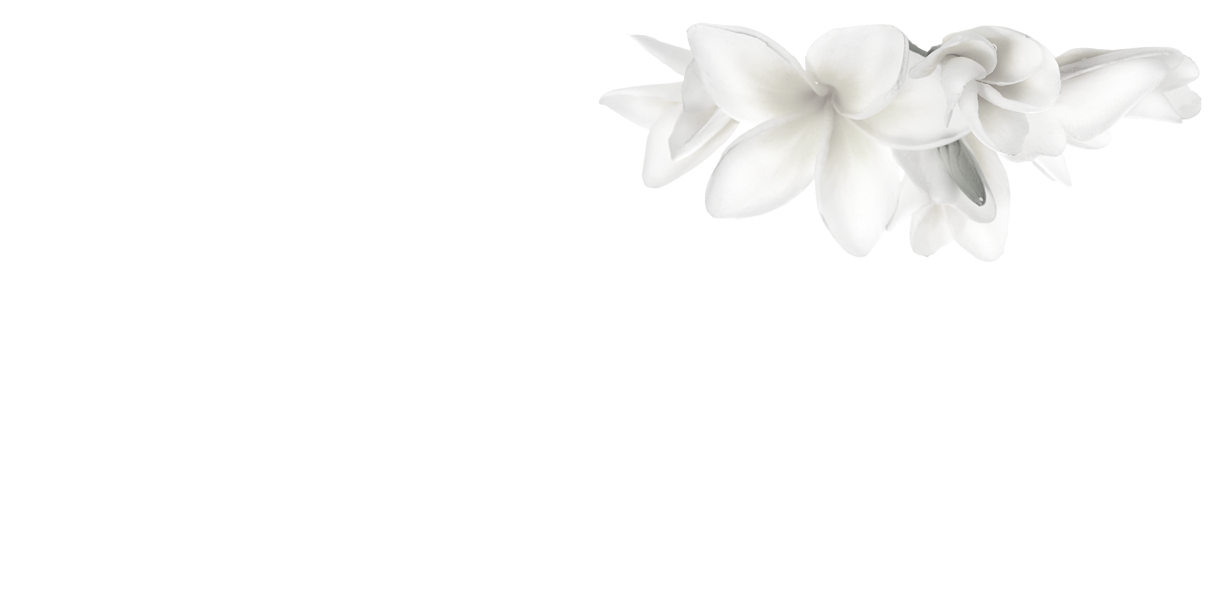 Cultural Showcase — Poly X Experience