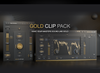Gold Clip — Schwabe Digital