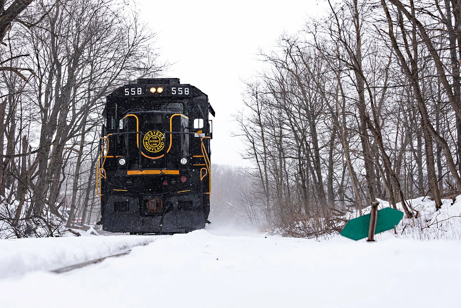 Western Maryland Scenic Railroad | Scenic Train Rides Through Mountain ...