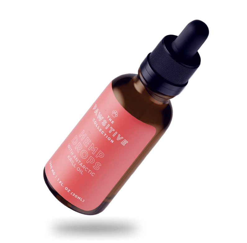 The Pawsitive Collection