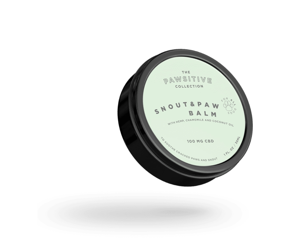 The Pawsitive Collection