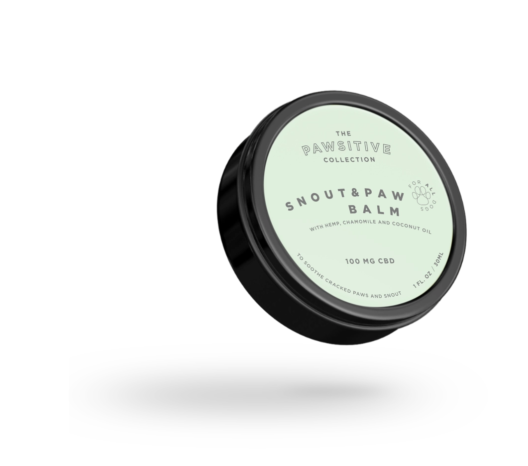 The Pawsitive Collection