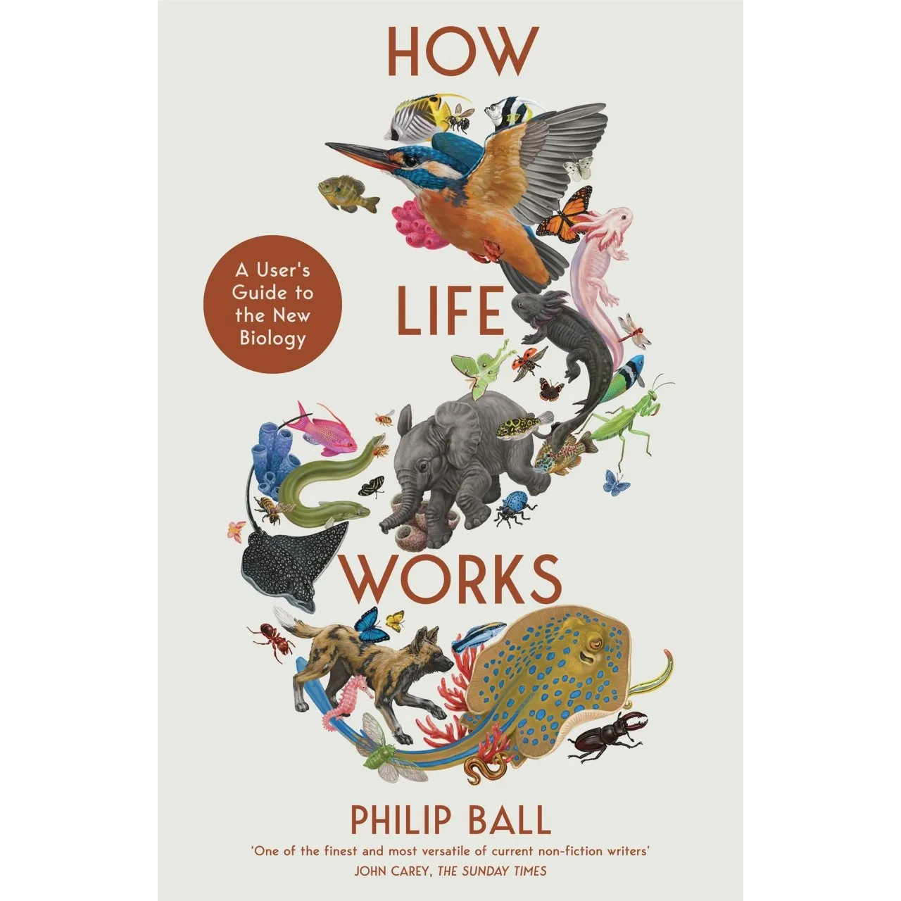 How Life Works — The Margate Bookshop