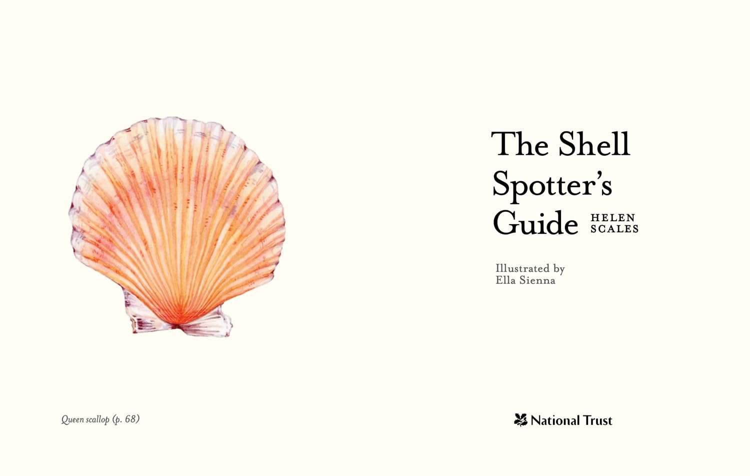 The Shell Spotter’s Guide — The Margate Bookshop