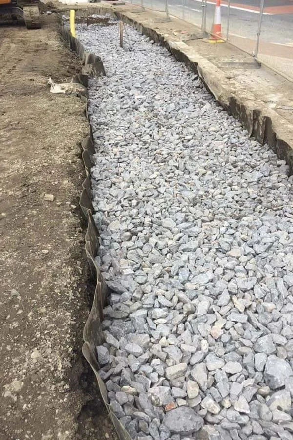 Luas Cross City Project — Tree Surveys | Tree Consultancy | Tree Logic