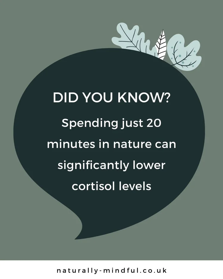 Gentle Guidance & Nature-Based Wisdom: A Blog for Sensitive Souls ...