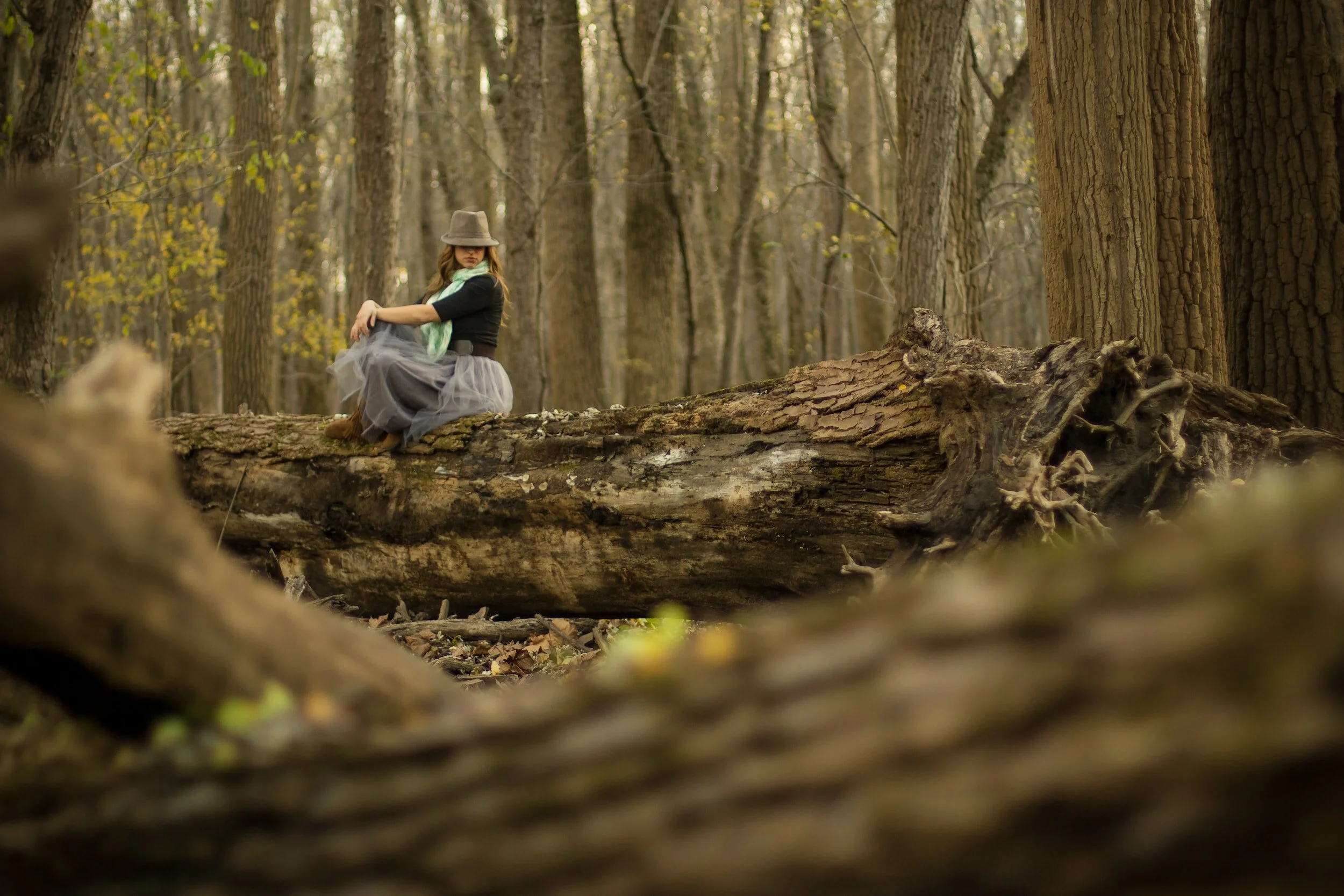Gentle Guidance & Nature-Based Wisdom: A Blog for Sensitive Souls ...