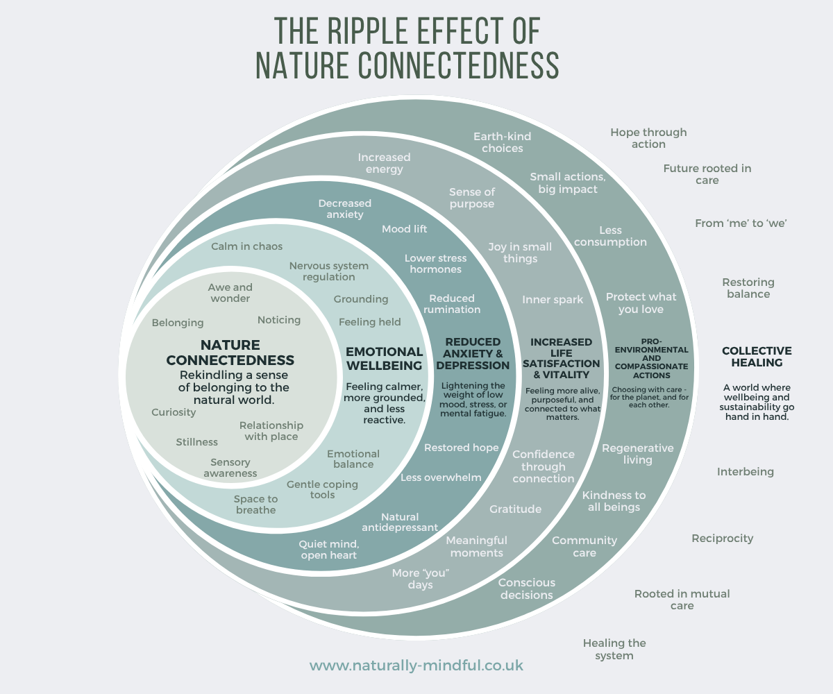 Nature Connection, Made Visual | Mindfulness & Mental Health Diagrams ...