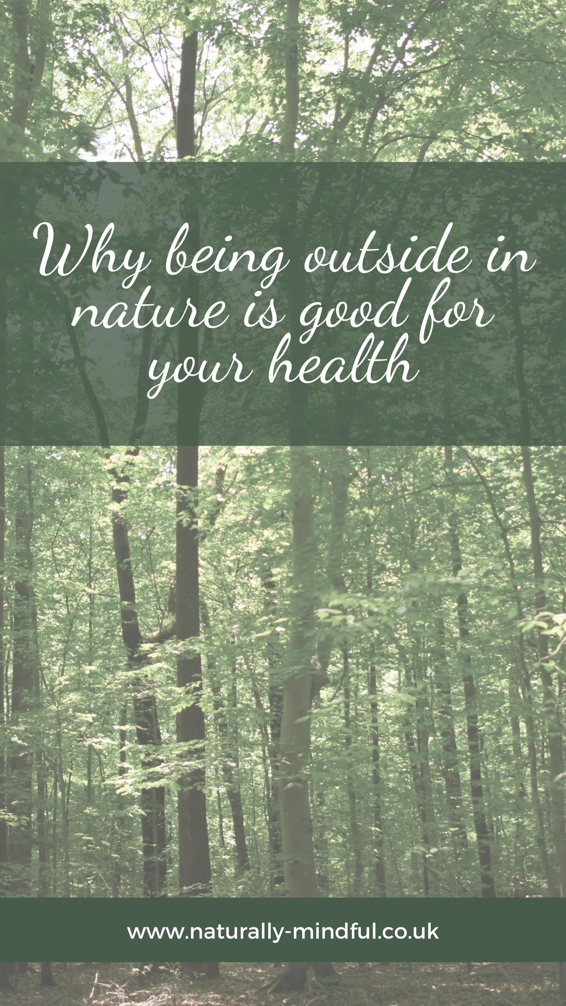 Gentle Guidance & Nature-Based Wisdom: A Blog for Sensitive Souls ...