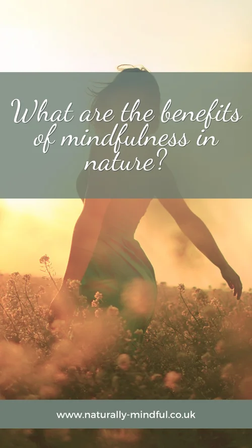 Gentle Guidance & Nature-Based Wisdom: A Blog for Sensitive Souls ...
