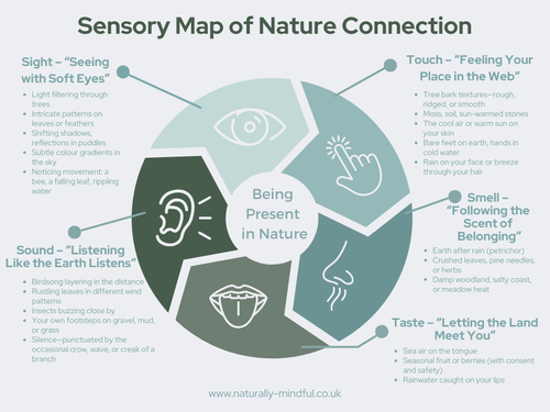 Nature Connection, Made Visual | Mindfulness & Mental Health Diagrams ...
