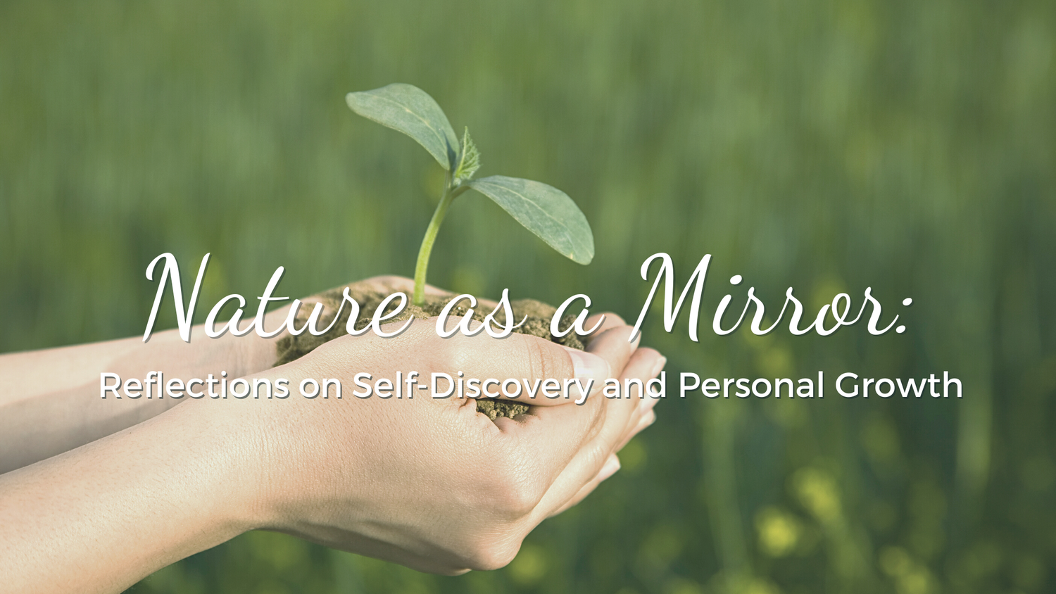 Gentle Guidance & Nature-Based Wisdom: A Blog for Sensitive Souls ...