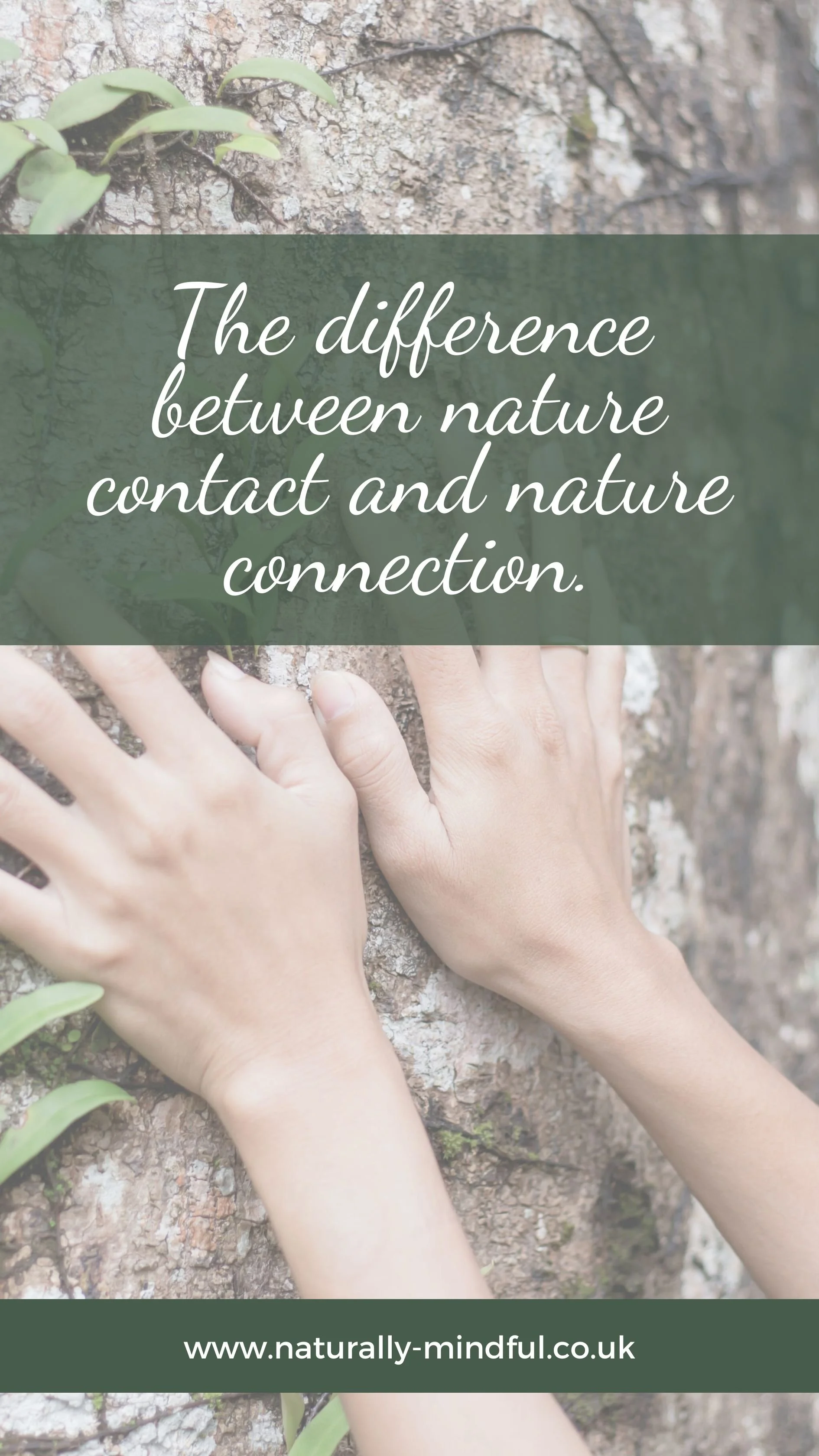 Gentle Guidance & Nature-Based Wisdom: A Blog for Sensitive Souls ...