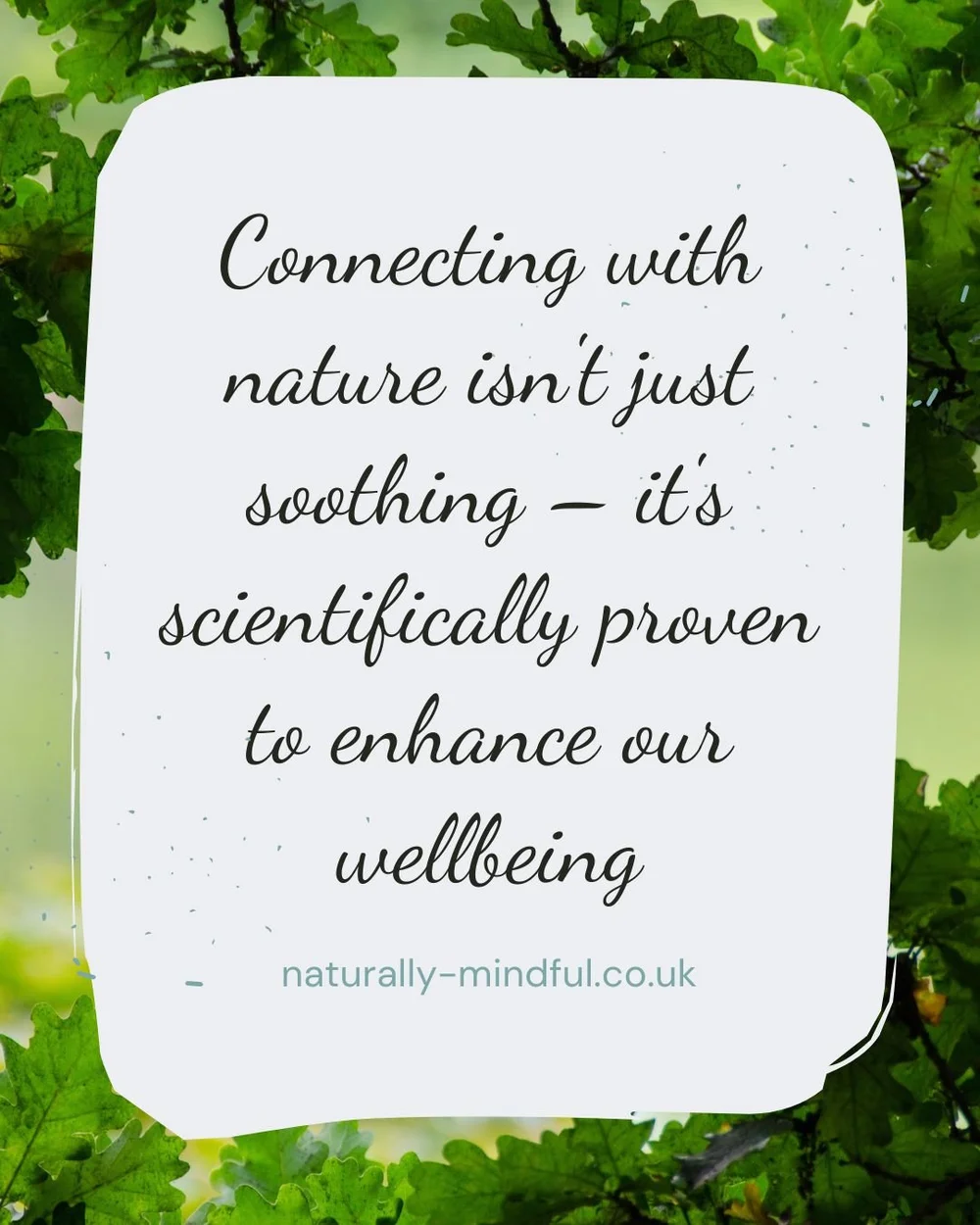 Gentle Guidance & Nature-Based Wisdom: A Blog for Sensitive Souls ...