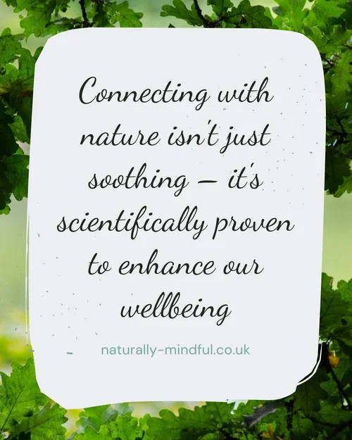 Gentle Guidance & Nature-Based Wisdom: A Blog for Sensitive Souls ...