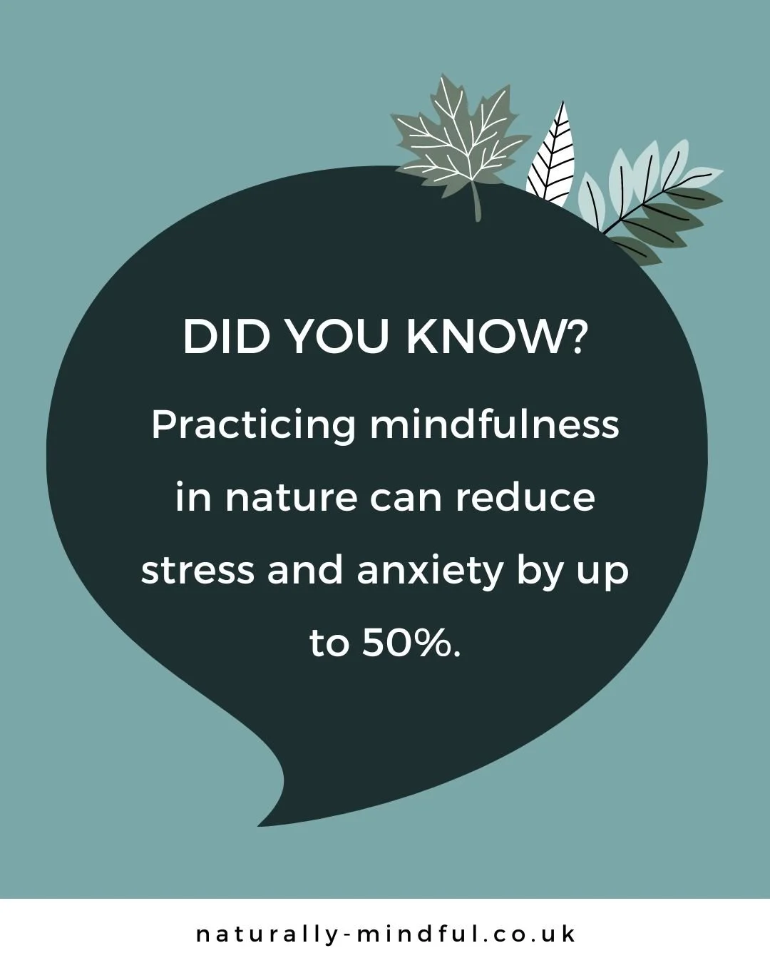 Gentle Guidance & Nature-Based Wisdom: A Blog for Sensitive Souls ...