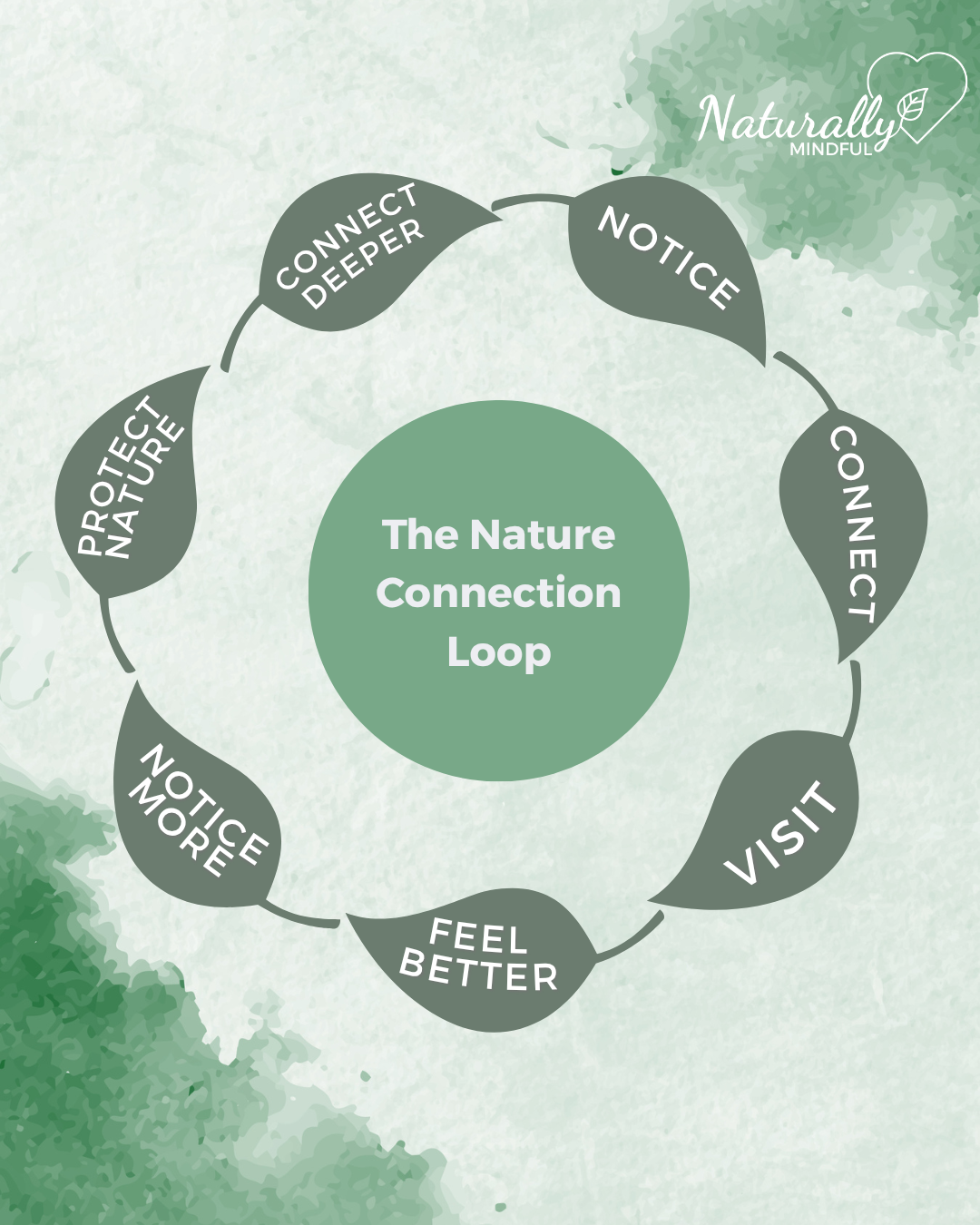 Nature Connection, Made Visual | Mindfulness & Mental Health Diagrams ...