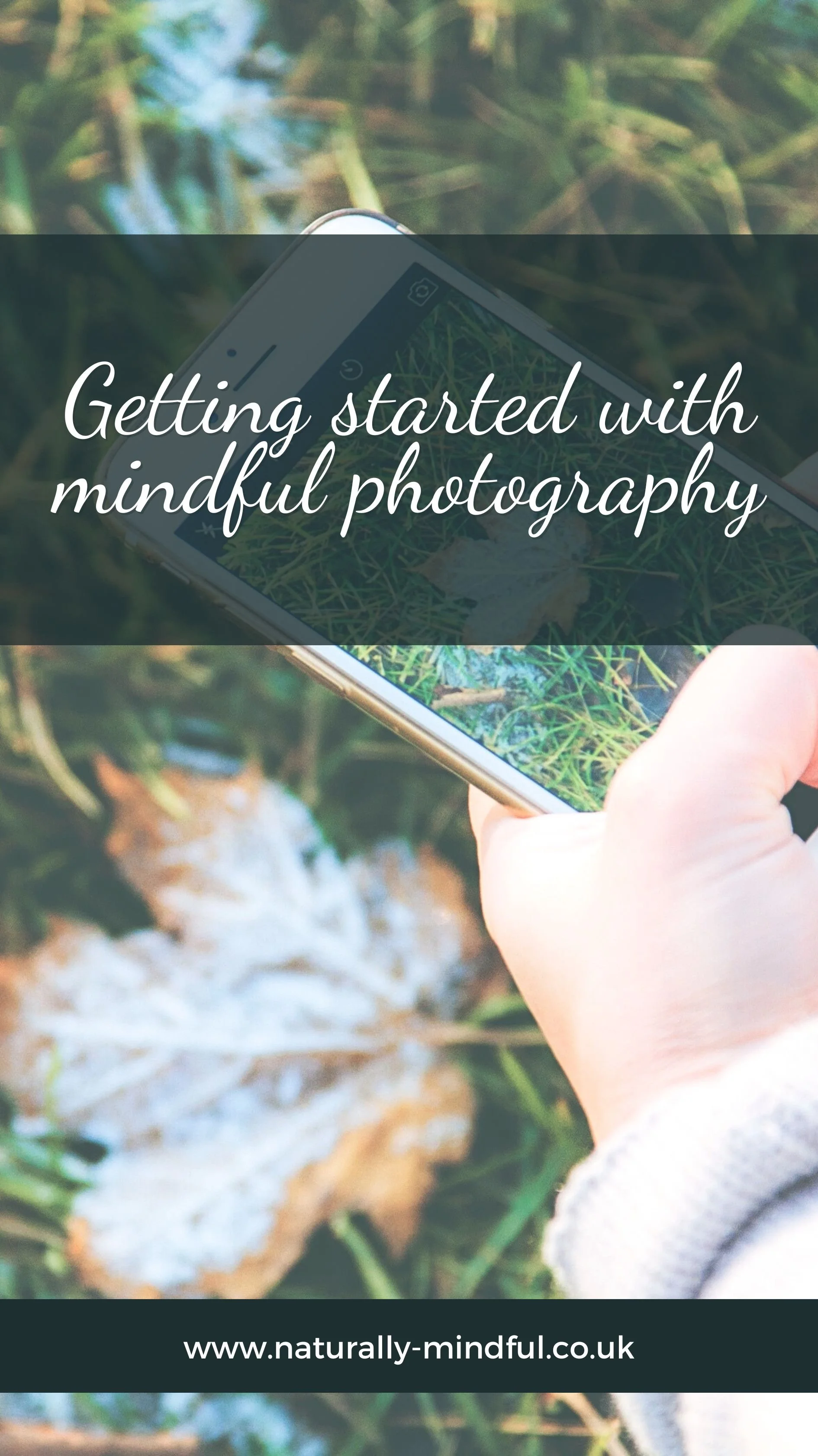 Gentle Guidance & Nature-Based Wisdom: A Blog for Sensitive Souls ...