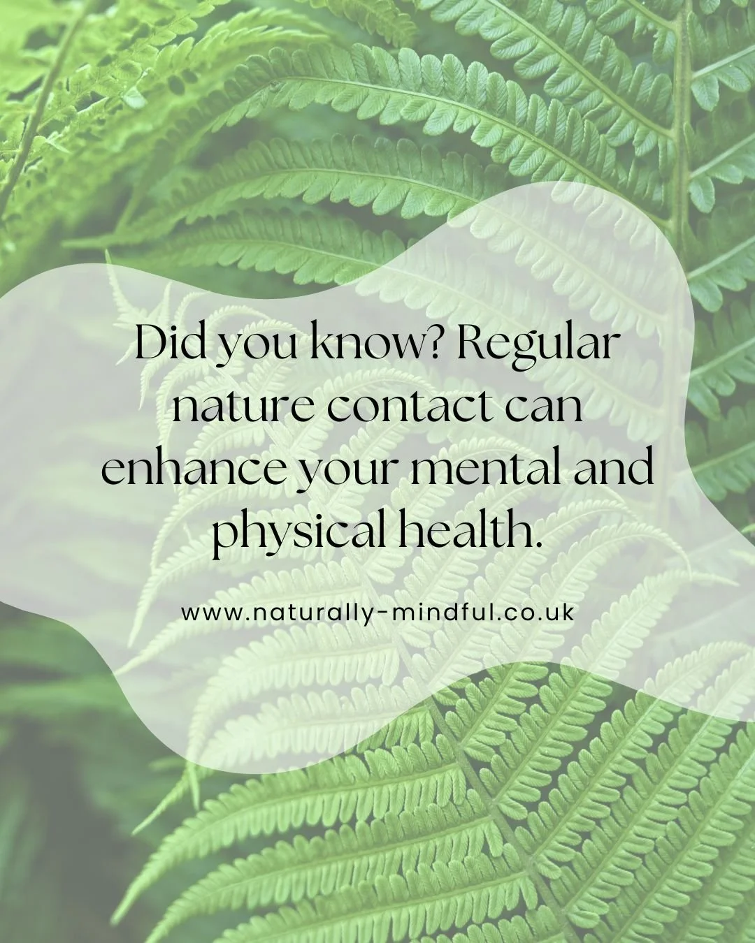 Gentle Guidance & Nature-Based Wisdom: A Blog for Sensitive Souls ...