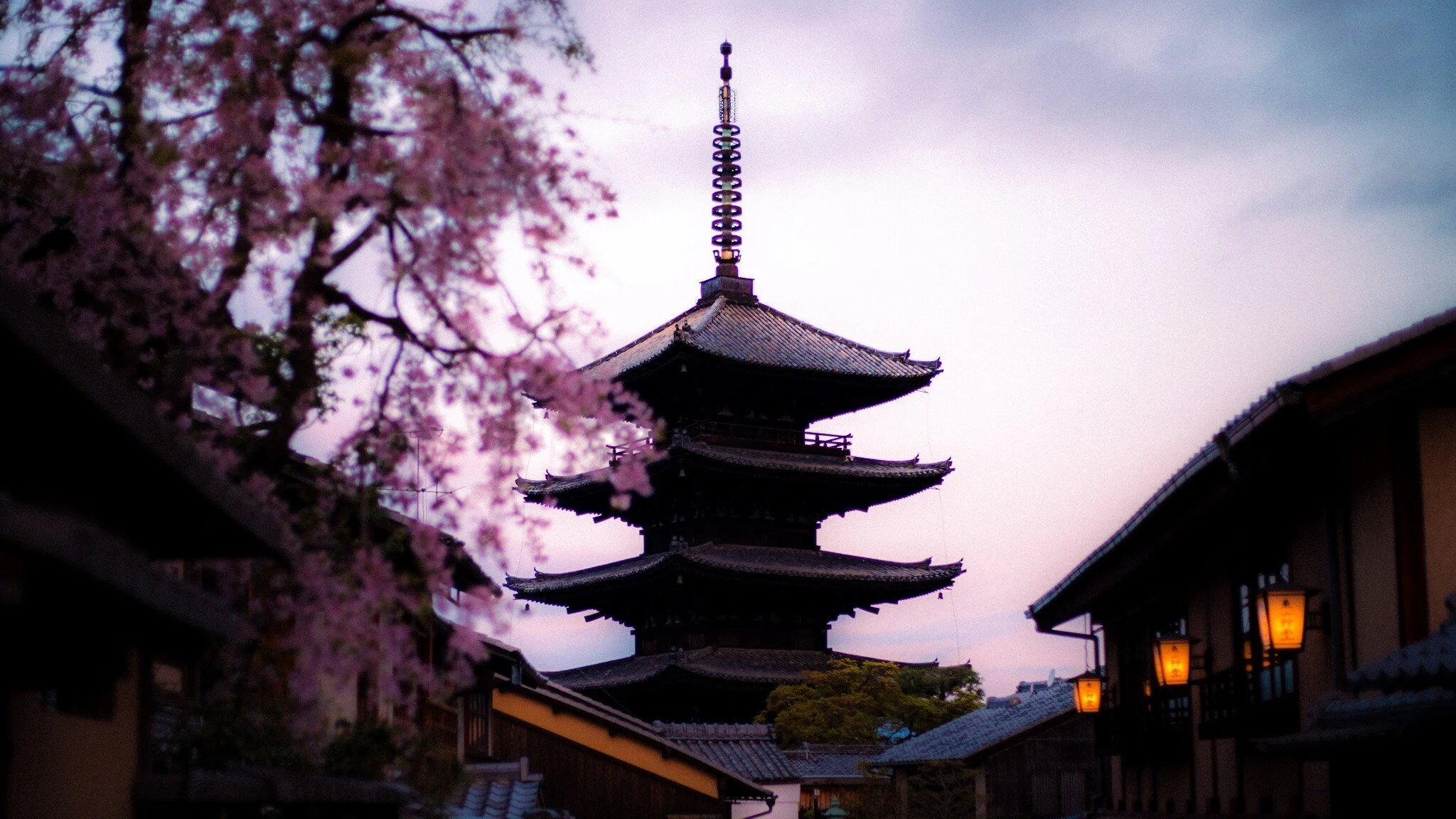 How to Avoid Cherry Blossom Crowds in Japan (Skip These 5 Overrated ...