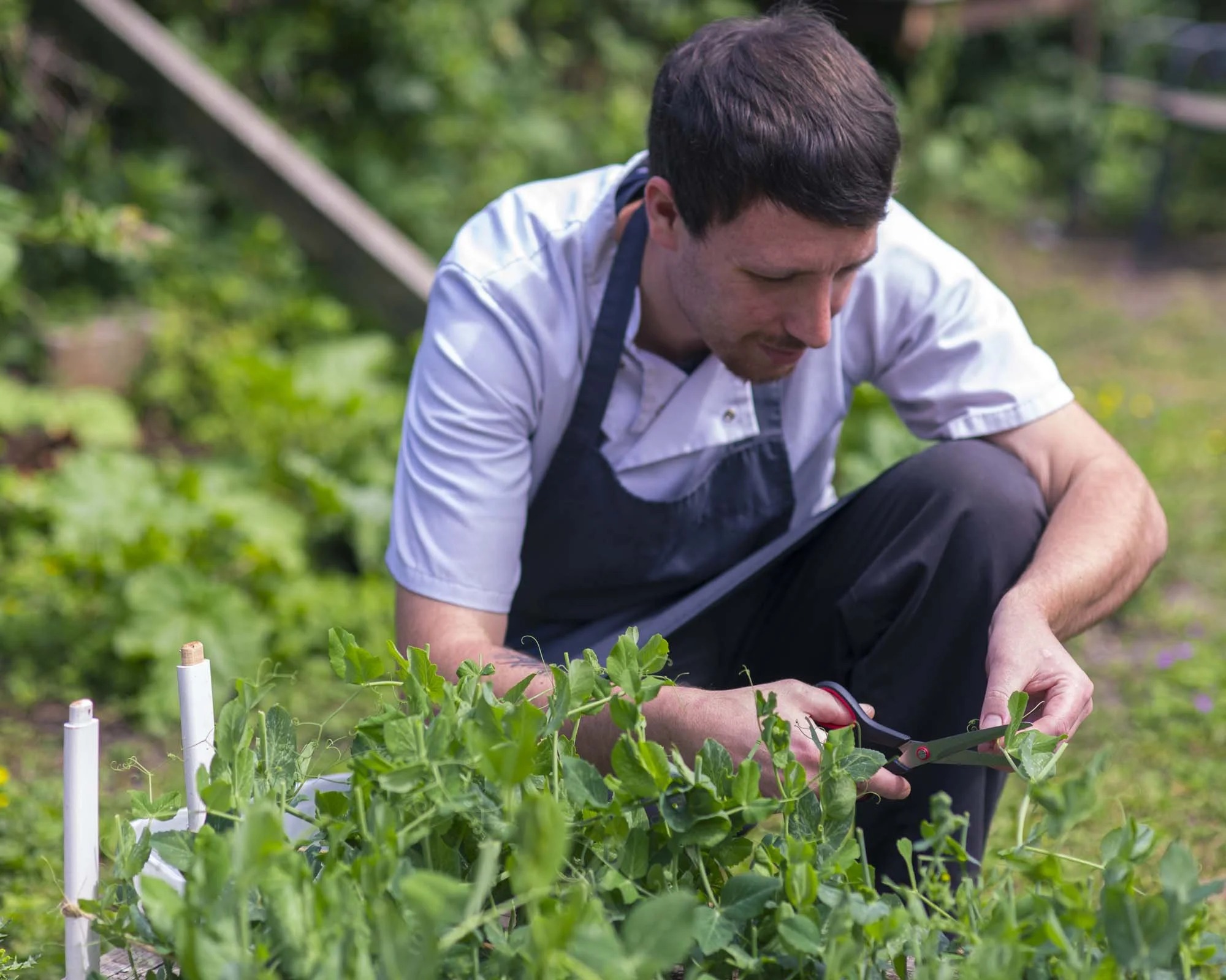 Food&Drink — The Compasses Inn, Hampshire