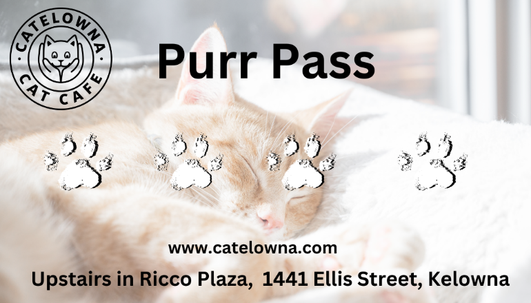 Memberships, Gift Cards, Purr Pass — Catelowna