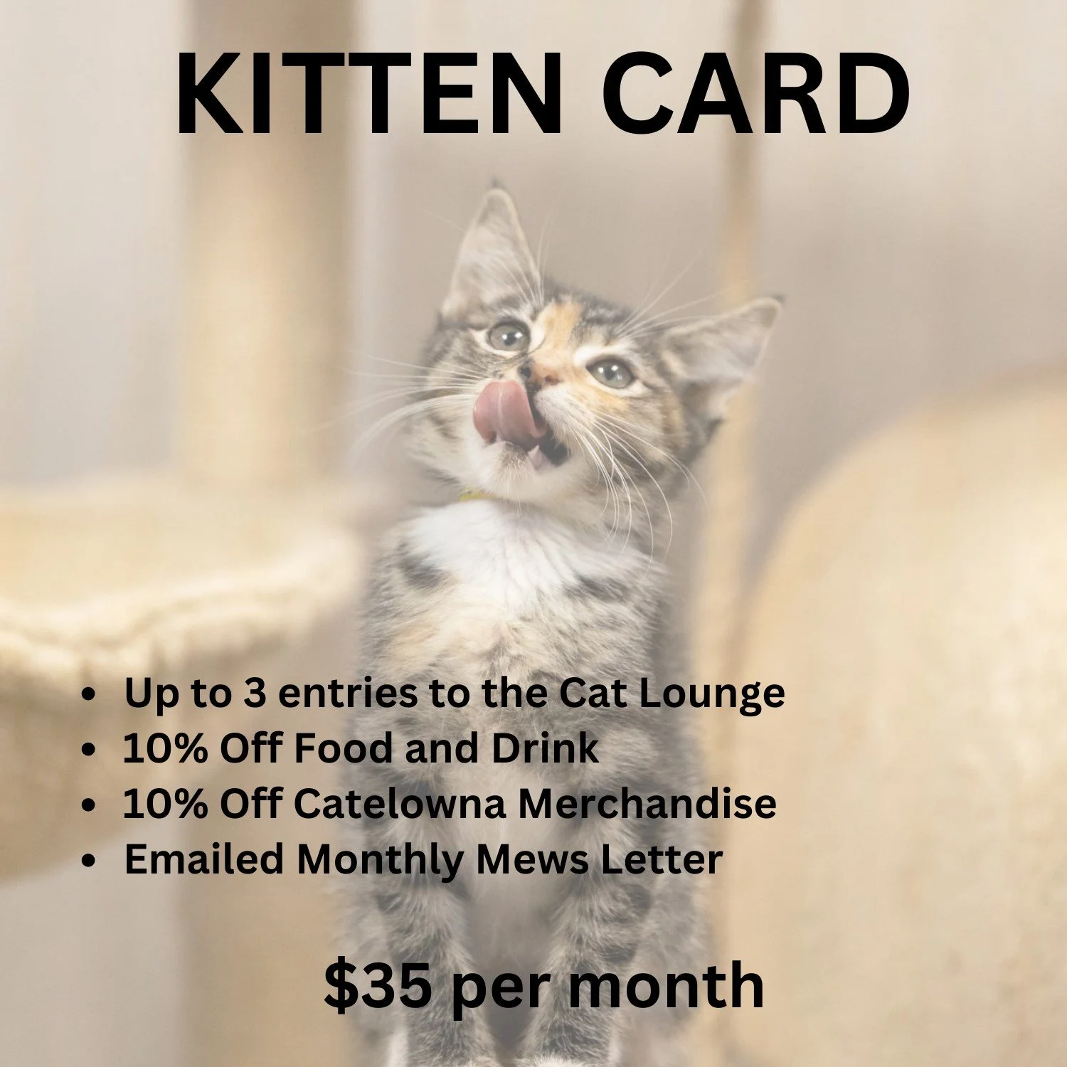 Memberships and Gift Cards — Catelowna