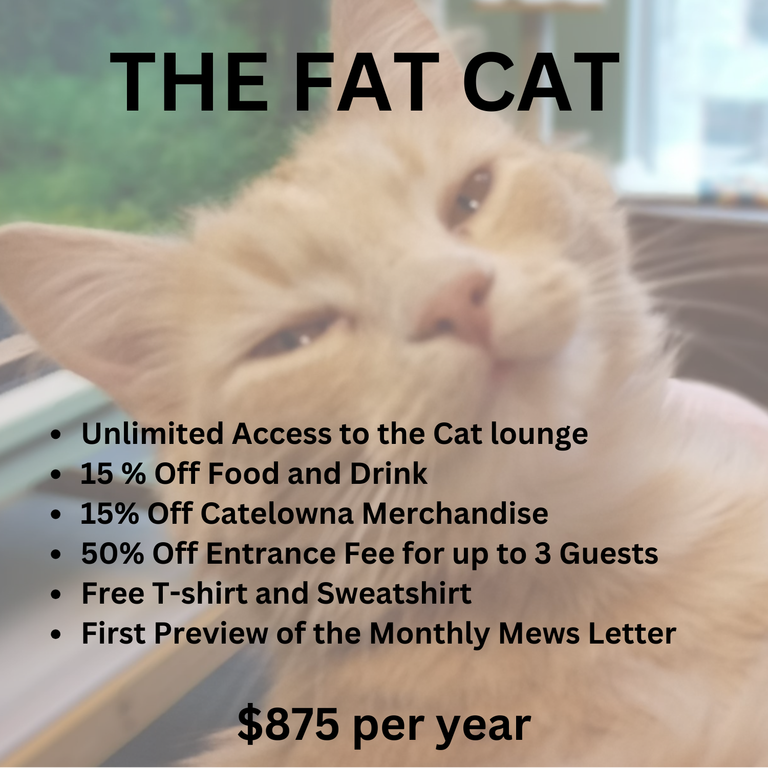 Memberships and Gift Cards — Catelowna