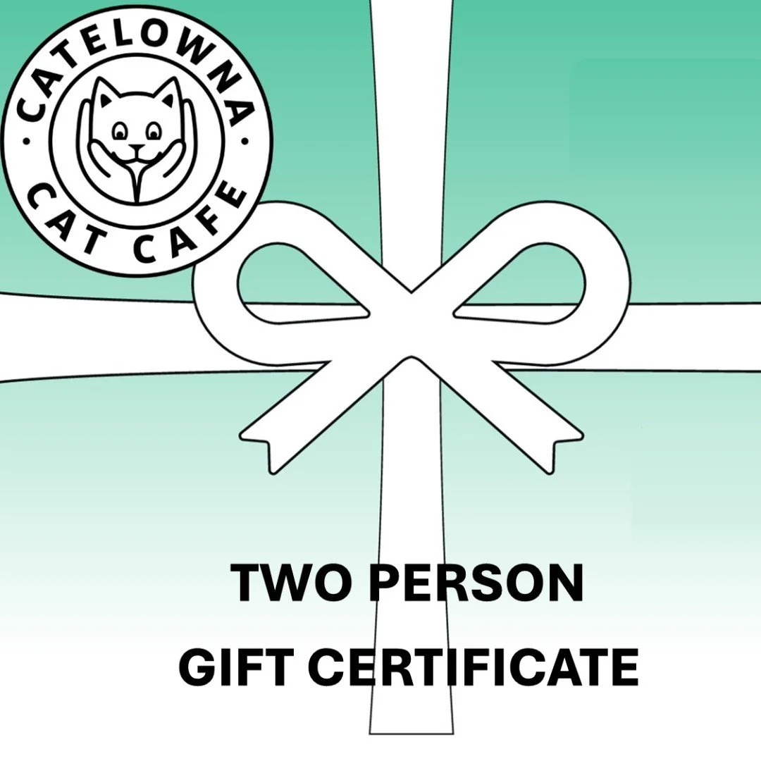 Memberships, Gift Cards, Purr Pass — Catelowna